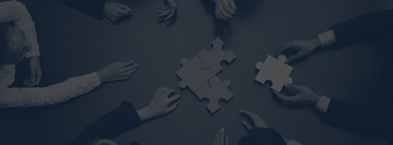 Team | Insight Advisory Group